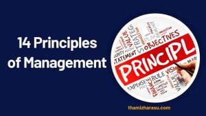 14 principles of management | A Comprehensive Guide