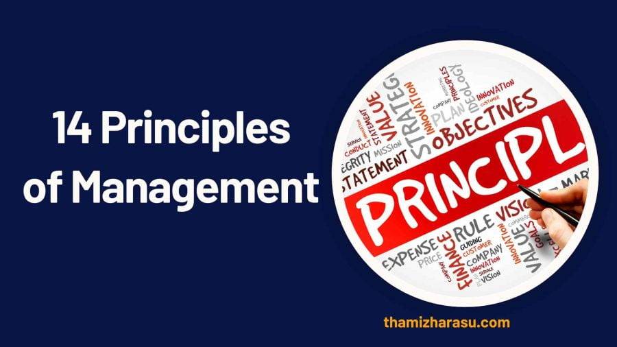 14 principles of management | A Comprehensive Guide