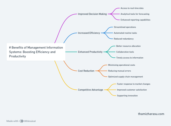 management information systems | Unlocking Business Potential